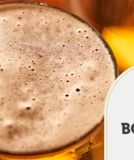 Cervejas com mel - Sebrae SC